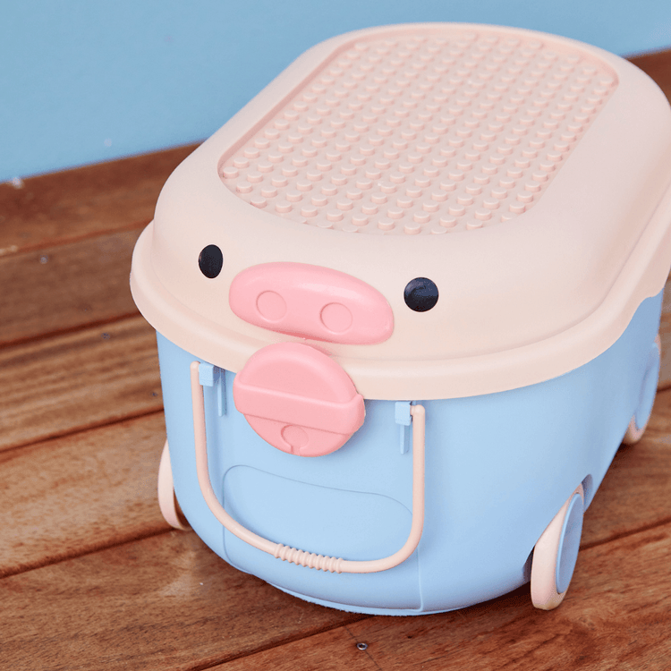 Storage – Cowrie & Conch